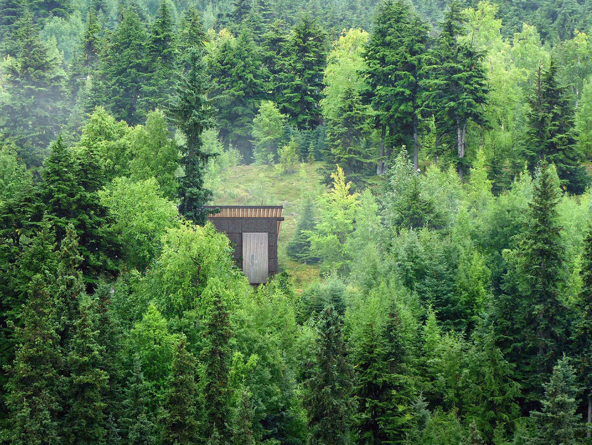 Info — MiMo Architects