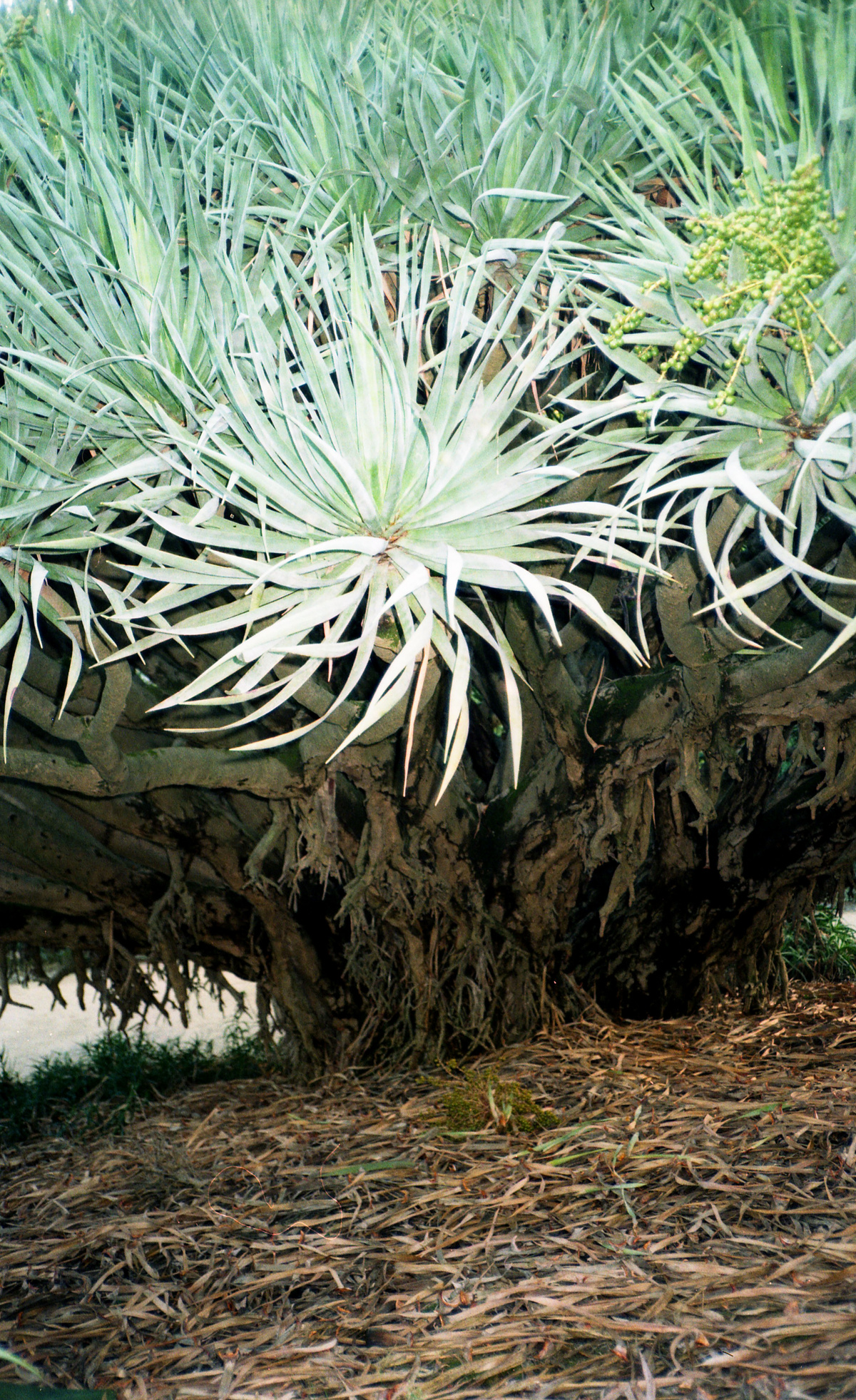 Anna Boldt — Pavillon für Fotografie