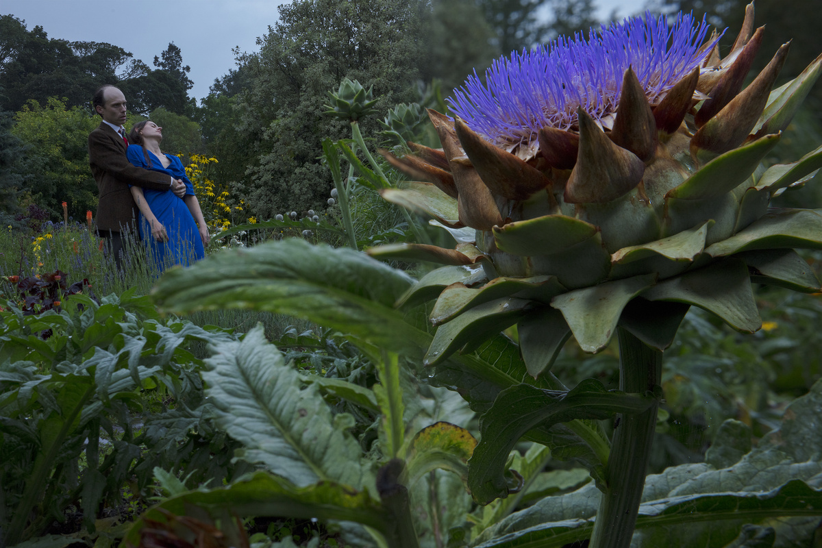 The Lost Estate — Daniel & Clara