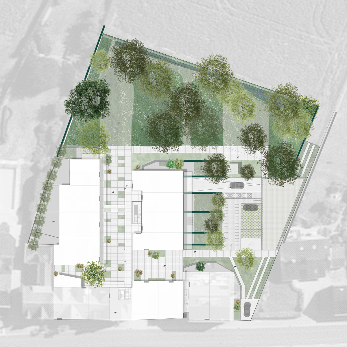 sanderus — kollektif landscape