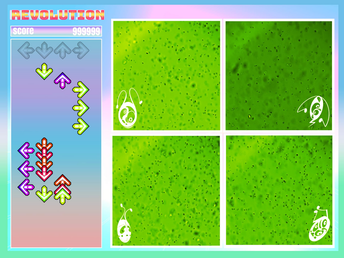 R Evolution — Lyndsey Walsh