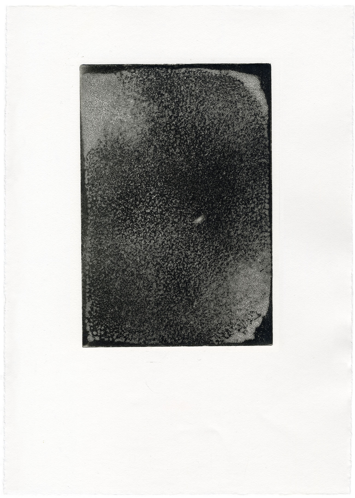 Etchings, black and white — Lucia Szych