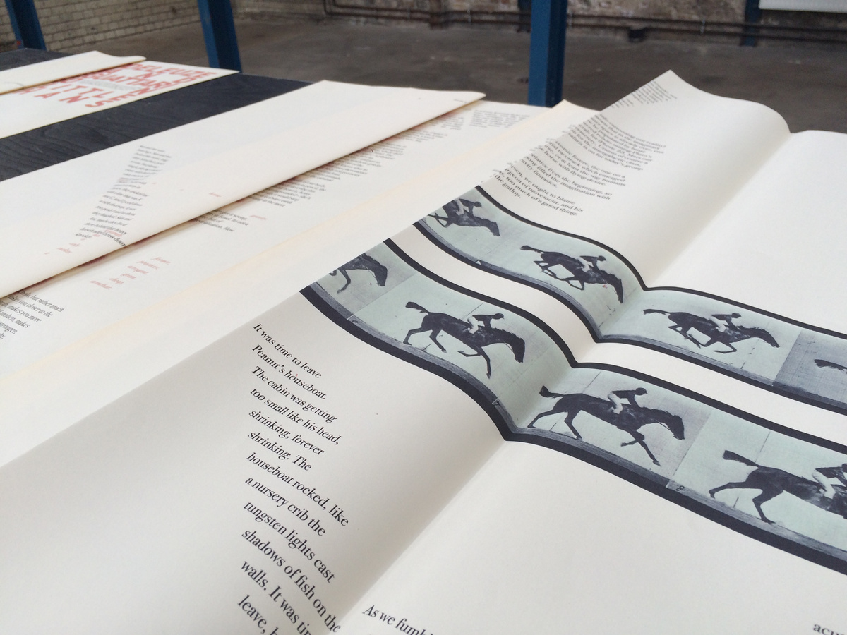 Halcyon — Rachel Dedman