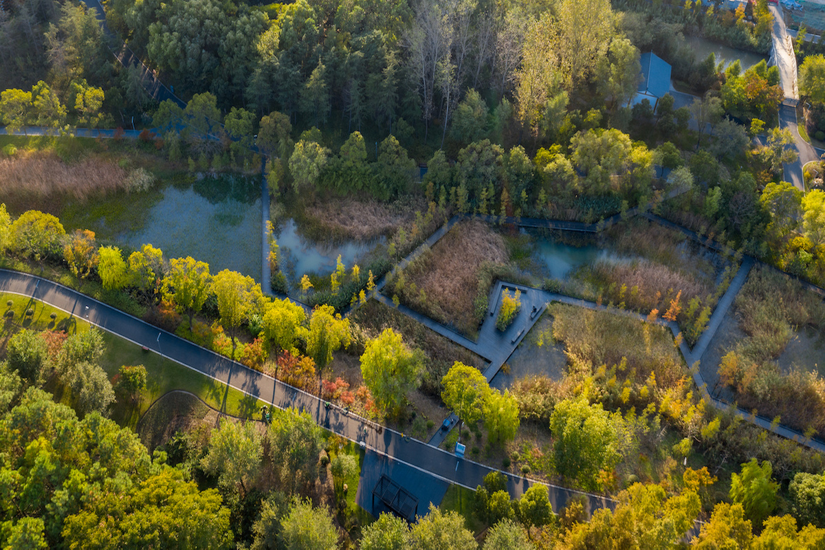 Services SC — PLAT Studio