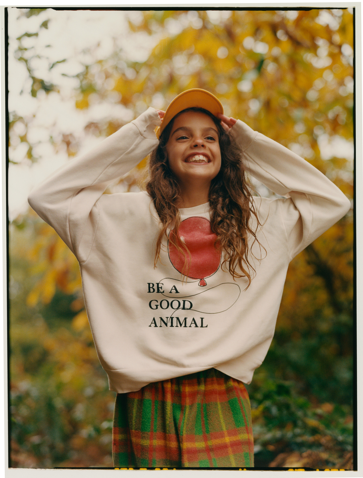 The Animal Oservatory — markshearwood