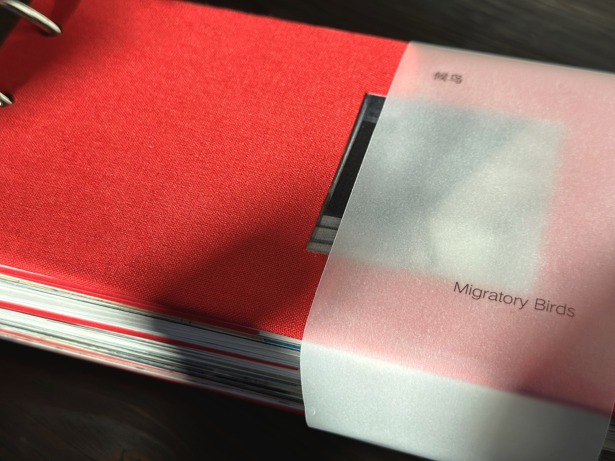 From the ground — Wendy Li