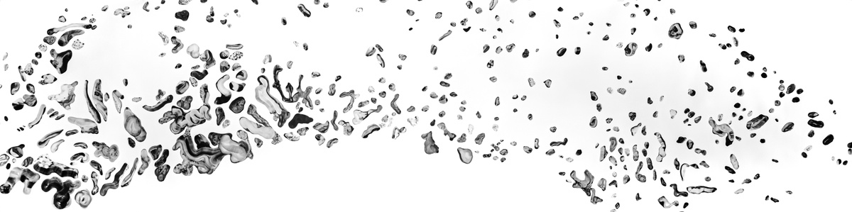 The Shape of Time — Cecil Howell