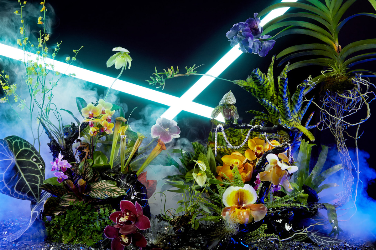 Concept Art — Thomas Slattery