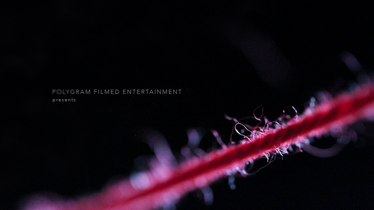 Usual Suspects — Karry Lee