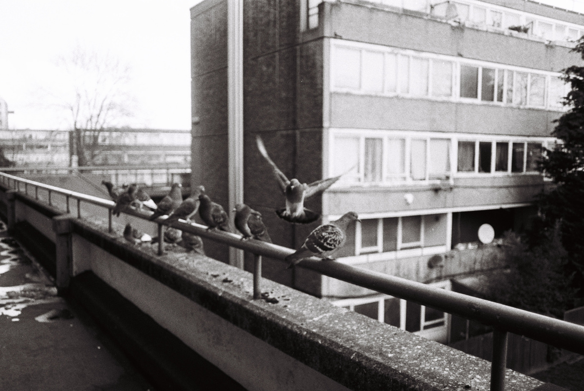 South London Brutalism — Sam Nicklin | Bad Pictures