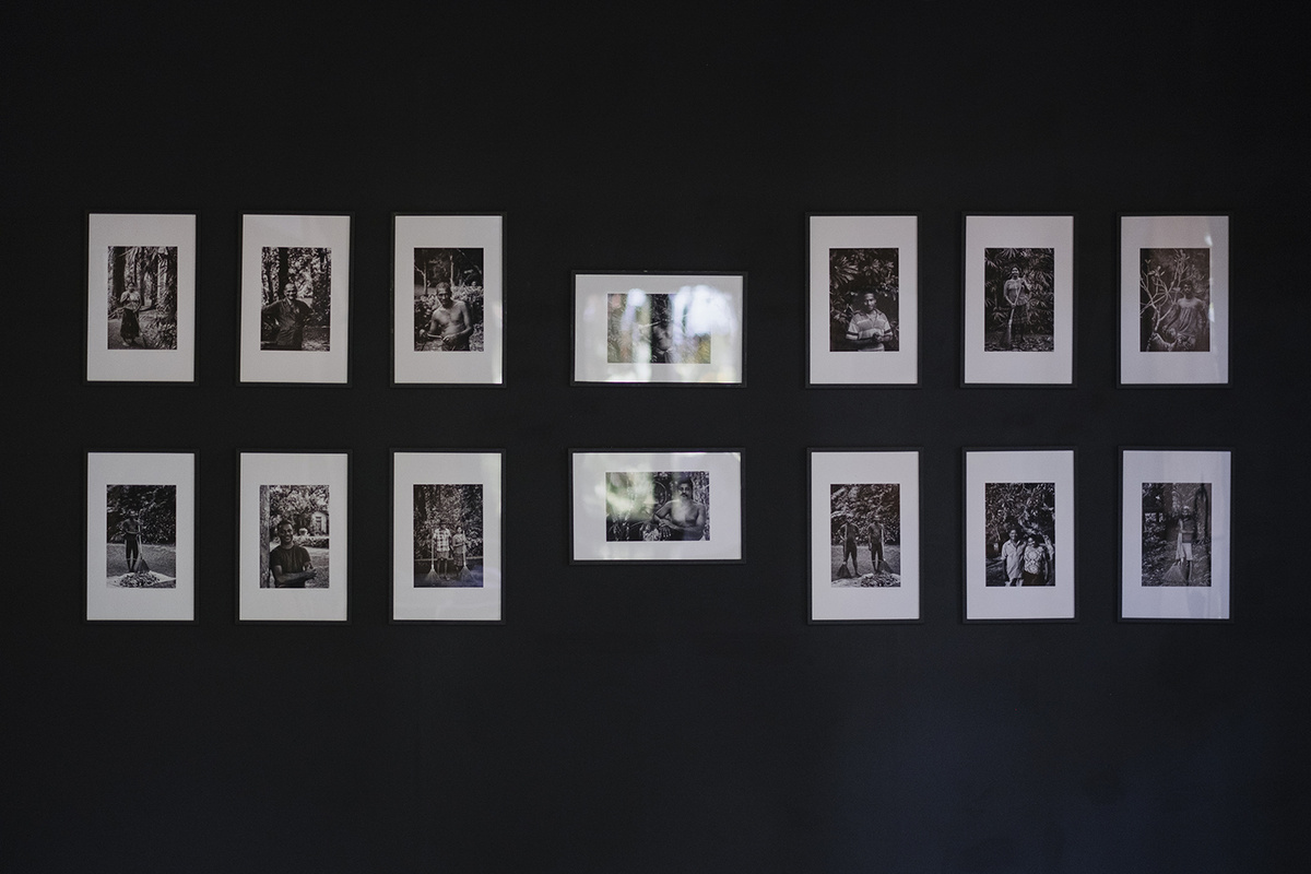 dominic sansoni — Bawa100