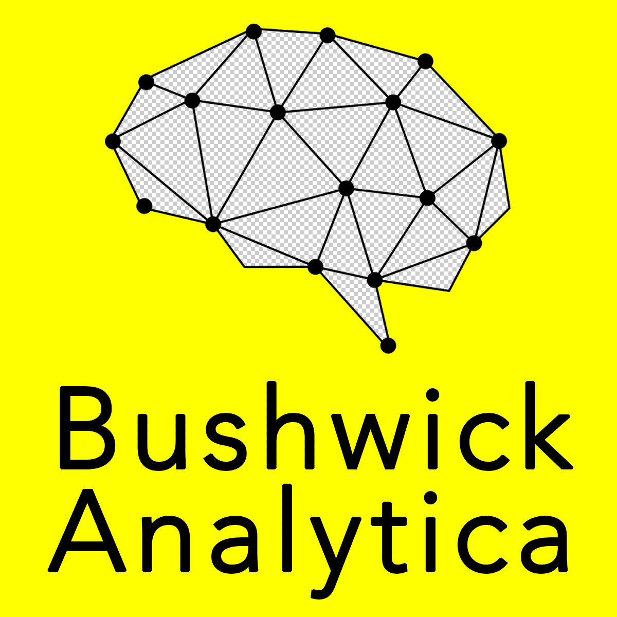 Bushwick Analytica — Tega Brain