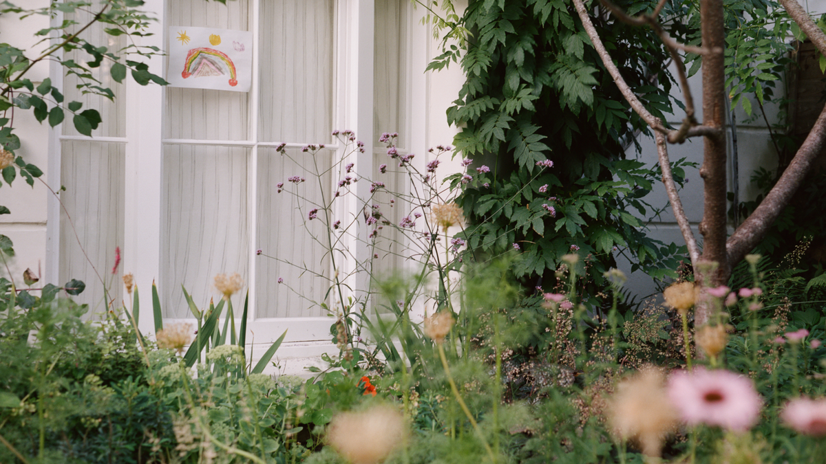 Project Page — Urban Meadows