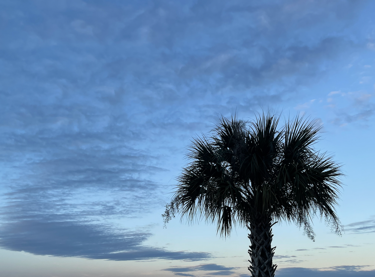 High Vibes — Najee-Wilson