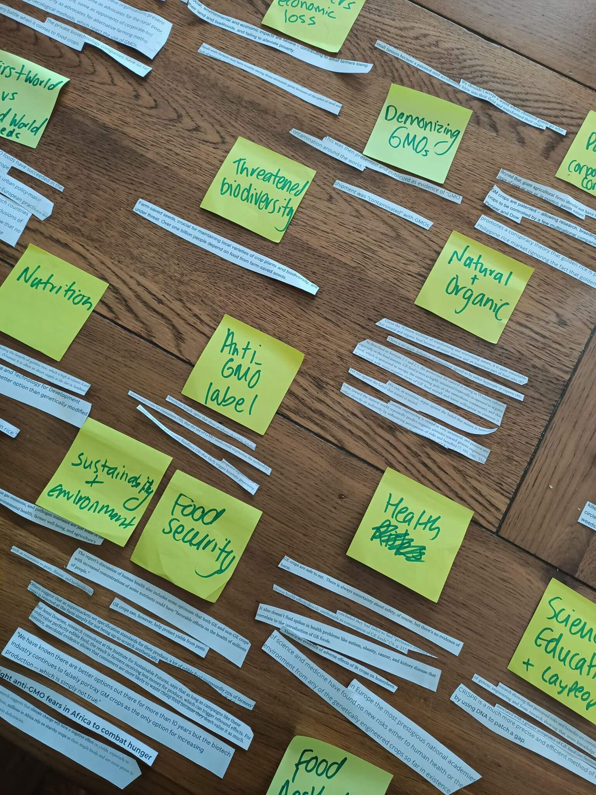 Greenie Contextual Review — Madi Chan