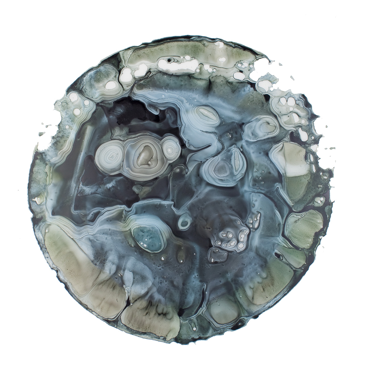 Signs of Life — David Burke