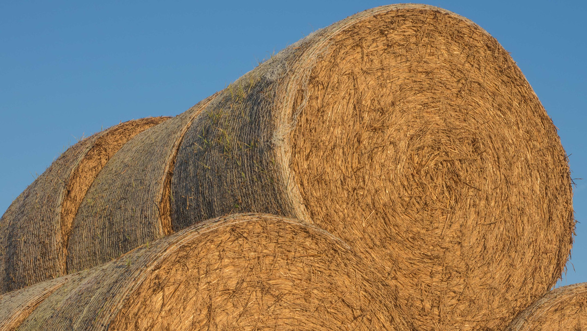 Why do you use straw insulation? — Primary Projects