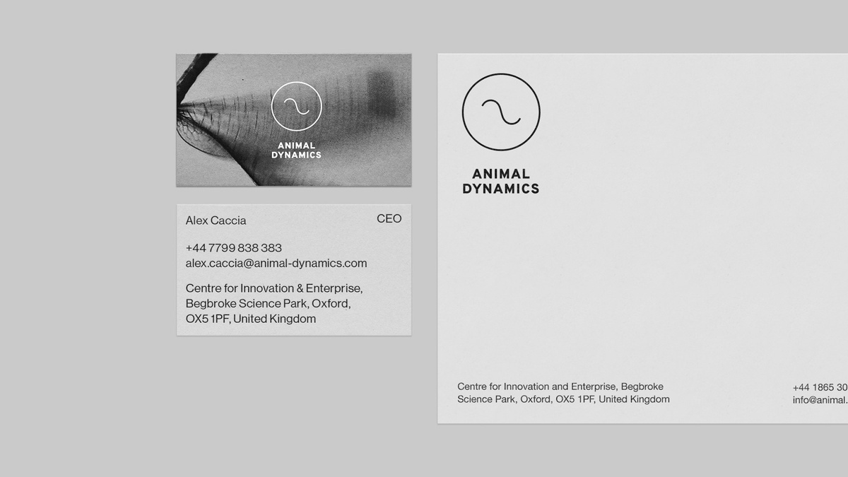 Animal Dynamics — Emma Piercy