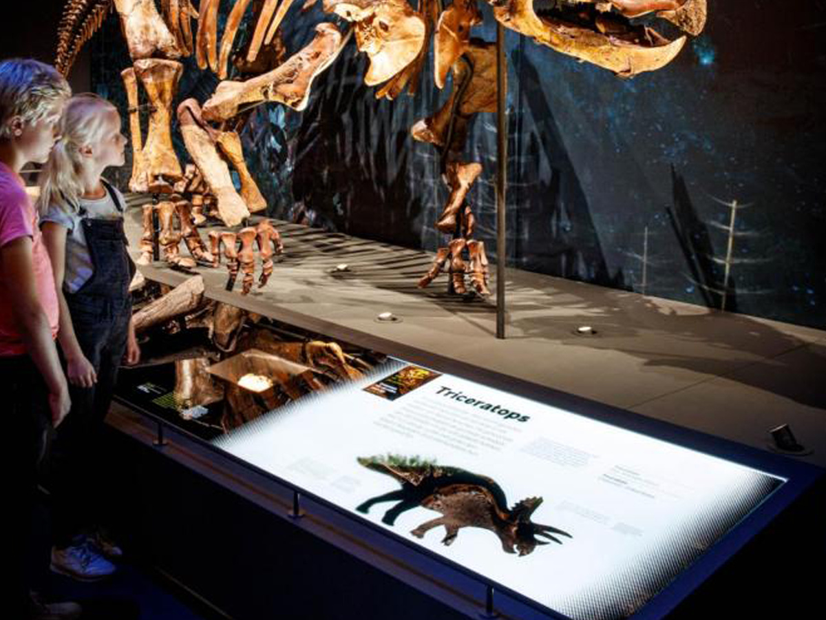 Naturalis — undercurrentdesign