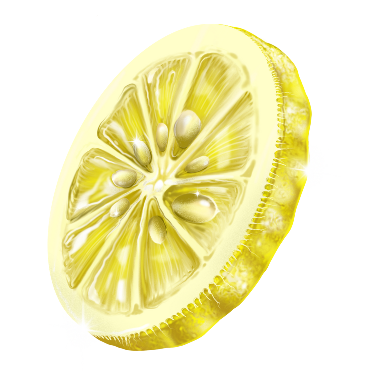 Our botanicals — DOJA Gin - Best Premium Craft Gin India