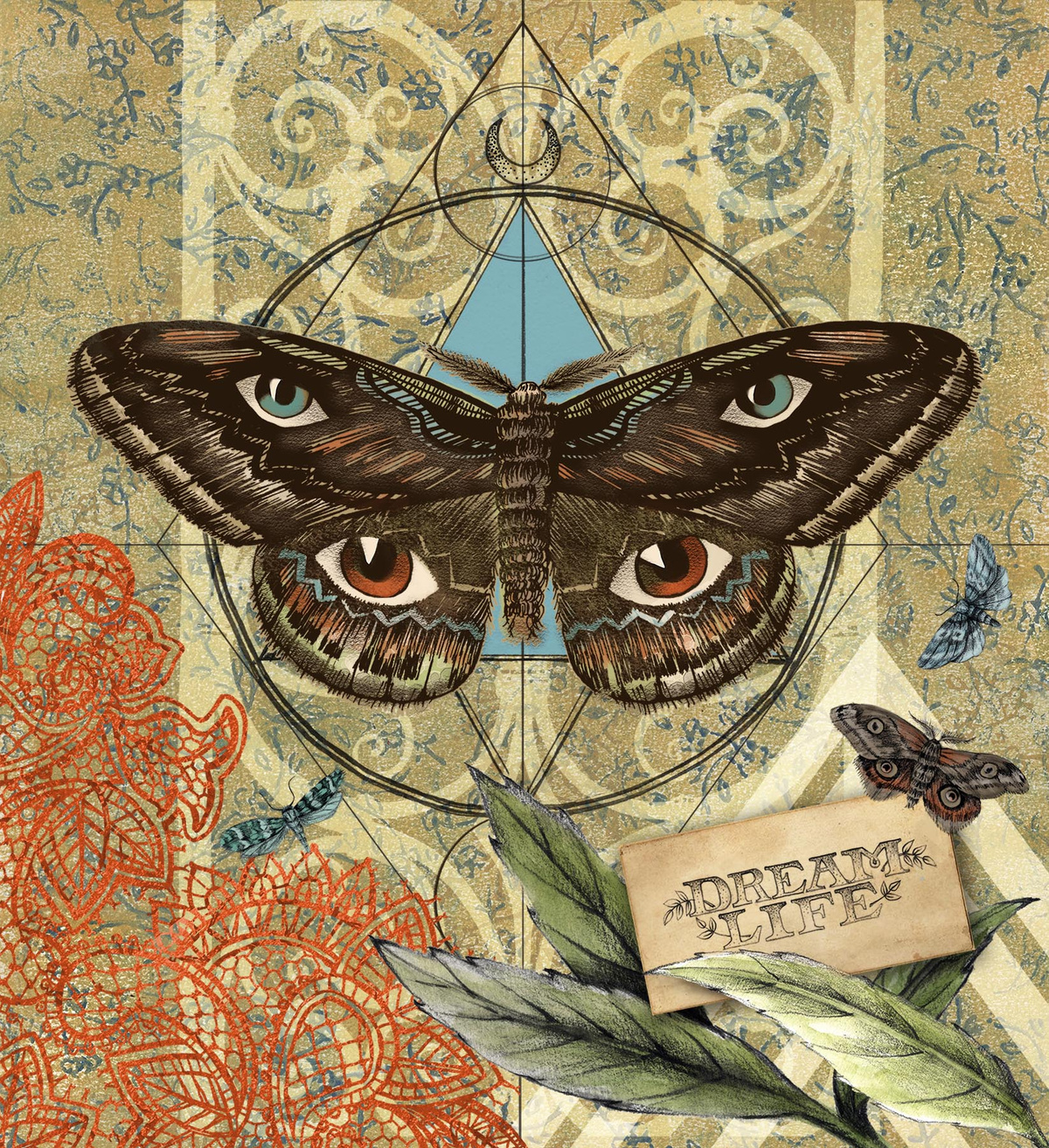 Empress Moth Series — GeorgenaSr