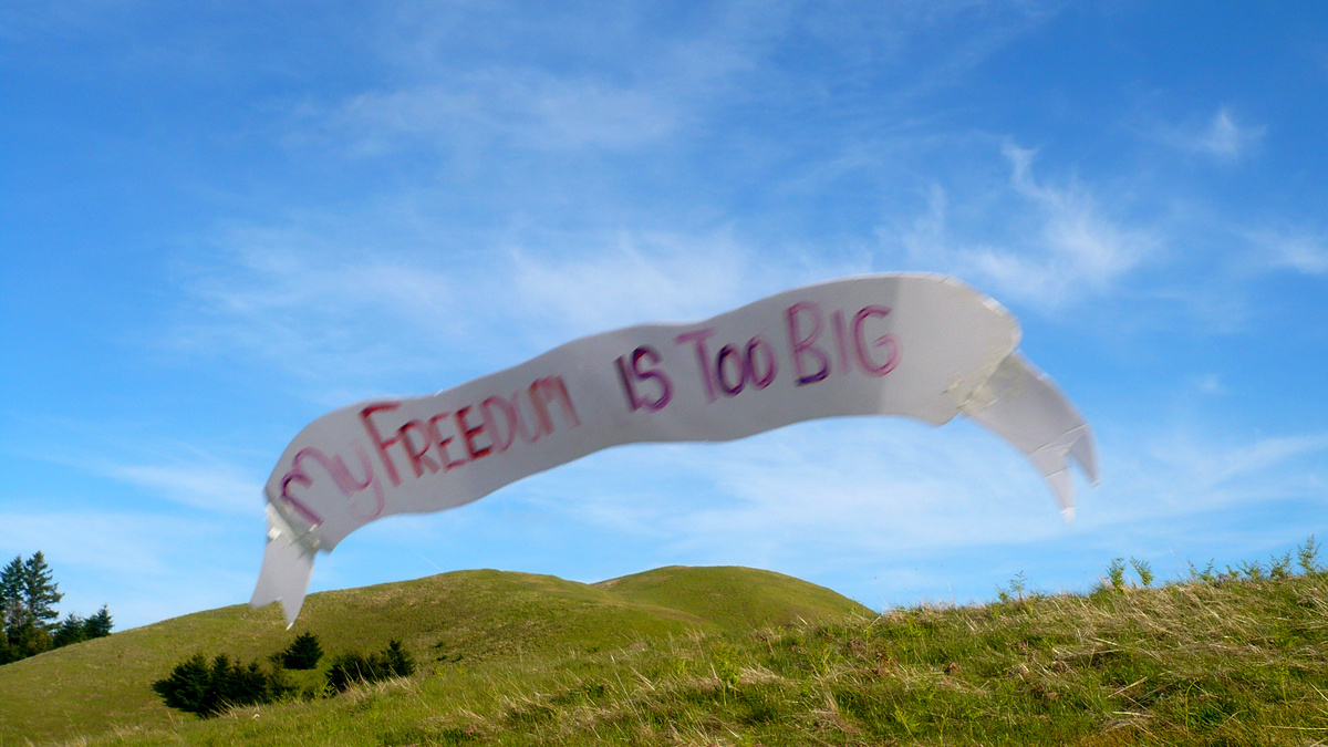 My Freedom Too Big — Megan Lindeman