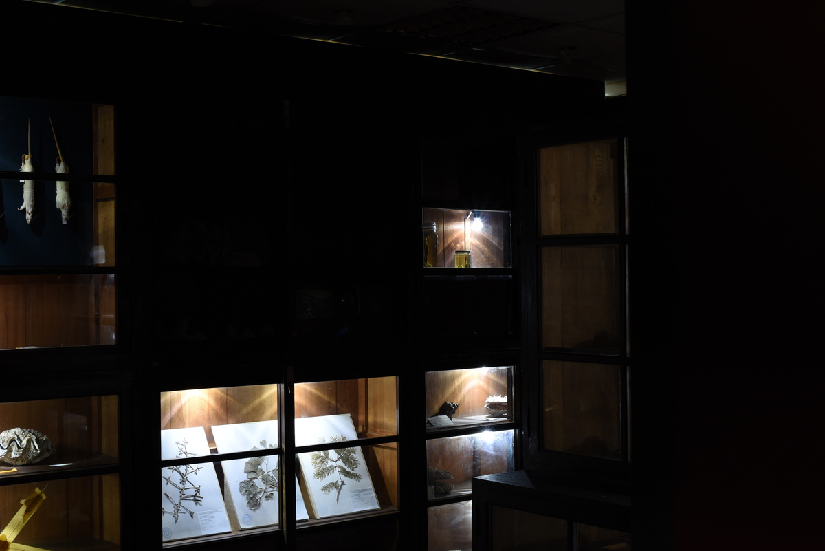 The Chamber of Uncanny Objects — duncan mountford artworks