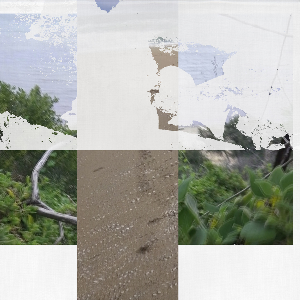 Cat Tyson Hughes: A Gentle Encounter with Things — Forthcoming Studio