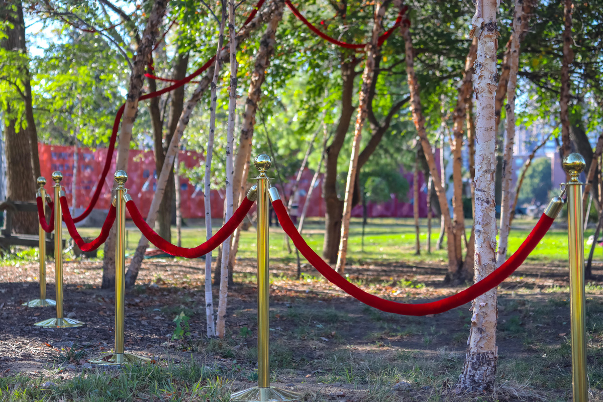 Access Grove, Soft Stand — Gabriela Salazar