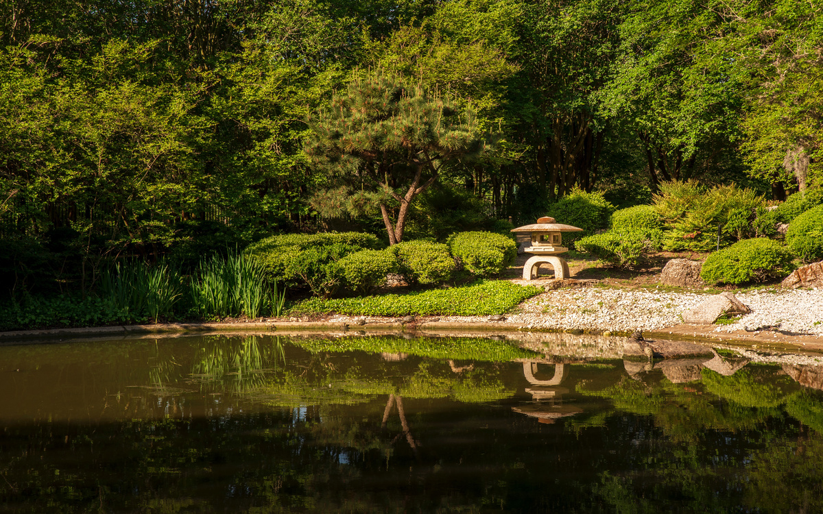 Seattle Japanese Garden — cindyly