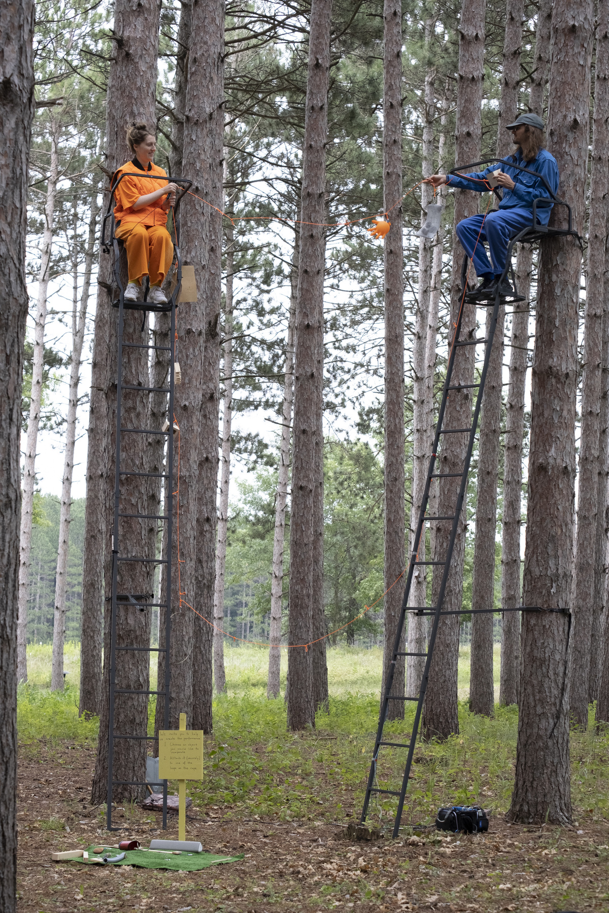 Pine Loop — Michael Legan