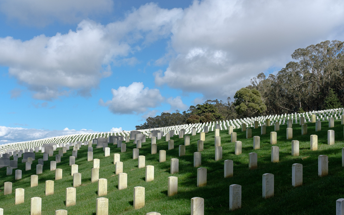 in the glow — David Blakeman