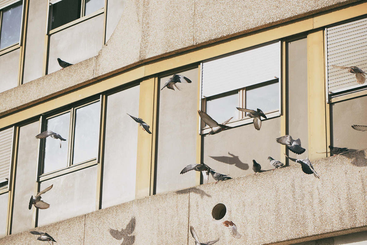 Projects — syn architects