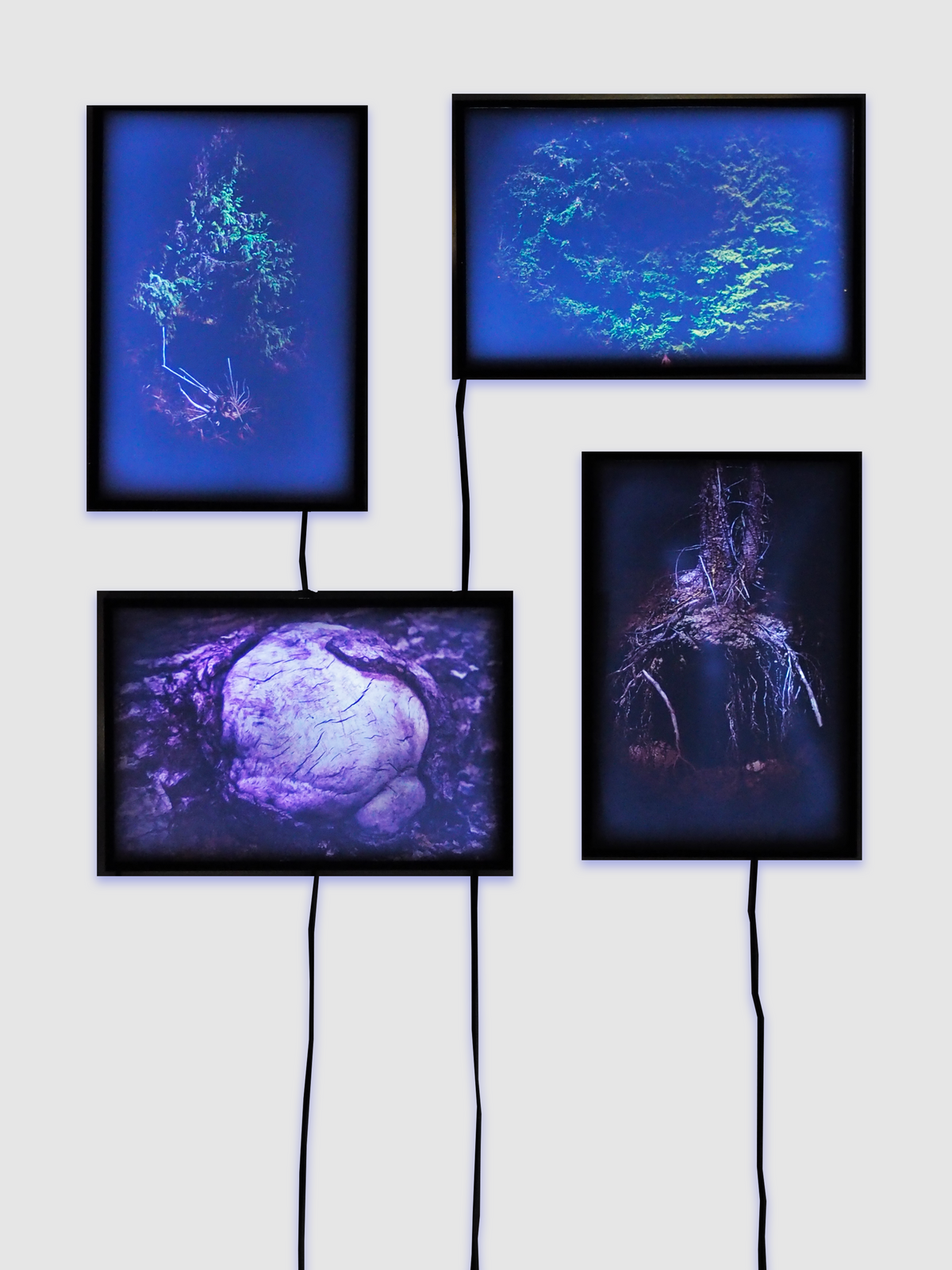 Alice Grassi — Arte Contemporanea Val di Noto