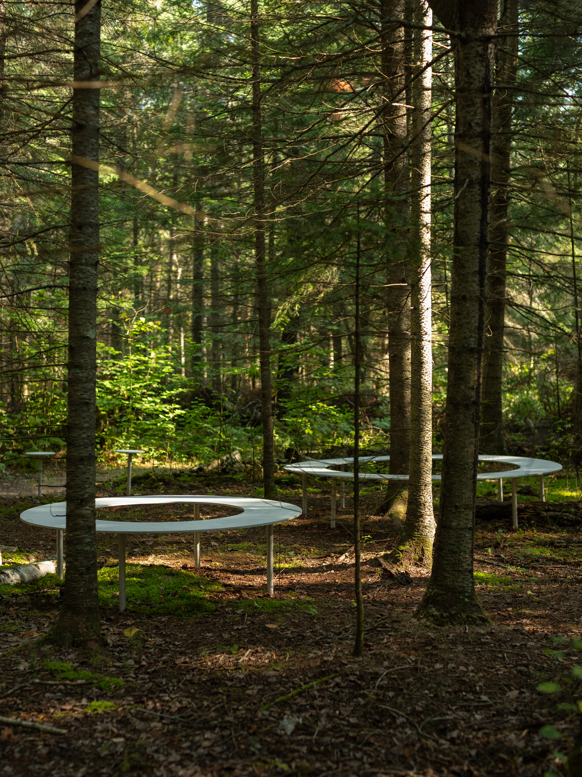 Nesting Loops — Thom Fougere Nesting Loops — Thom Fougere