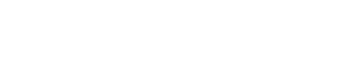 Logo — STADE Newsletter