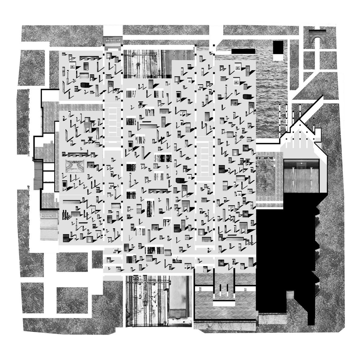 academic — donovan bunn