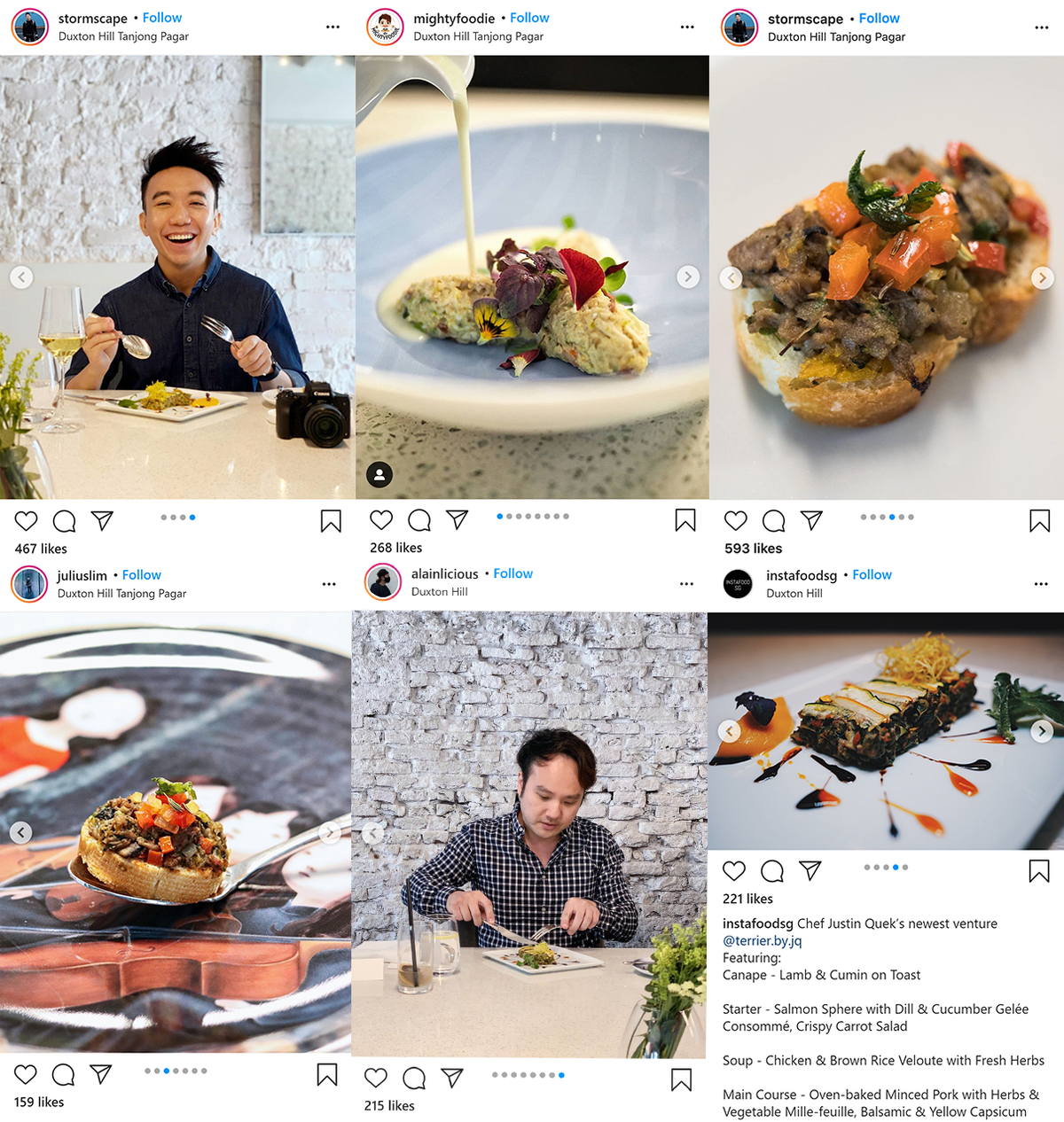 Food Influencers Tasting Dog Food — Winona Wee, Senior Creative