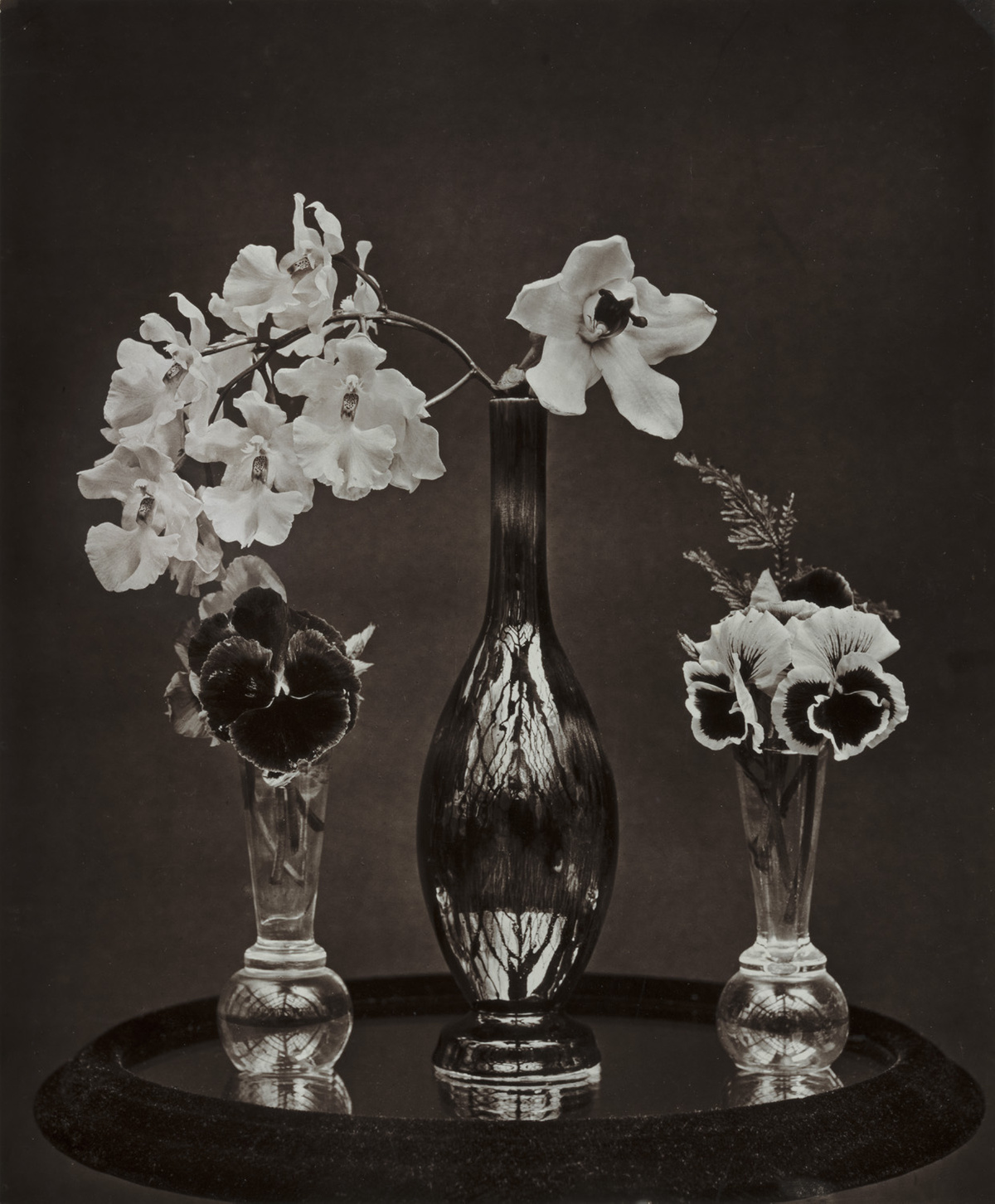 Henry Stevens — Solander Collection