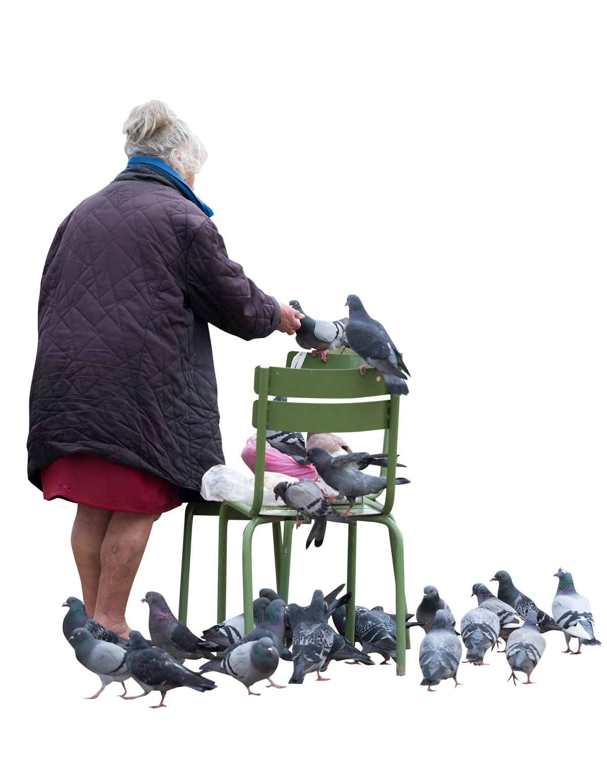 100 — Elderly Entourage