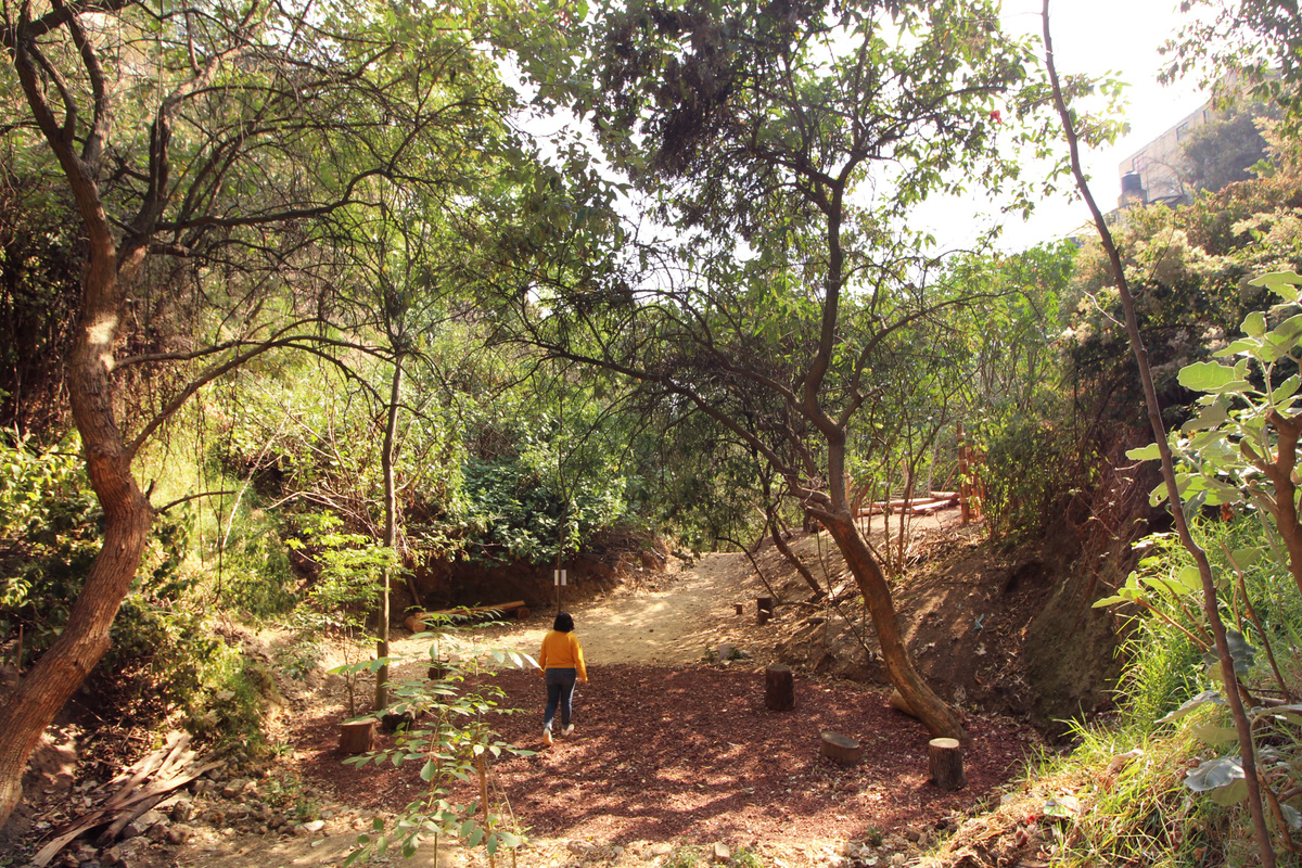 Tarango — MACIA ESTUDIO