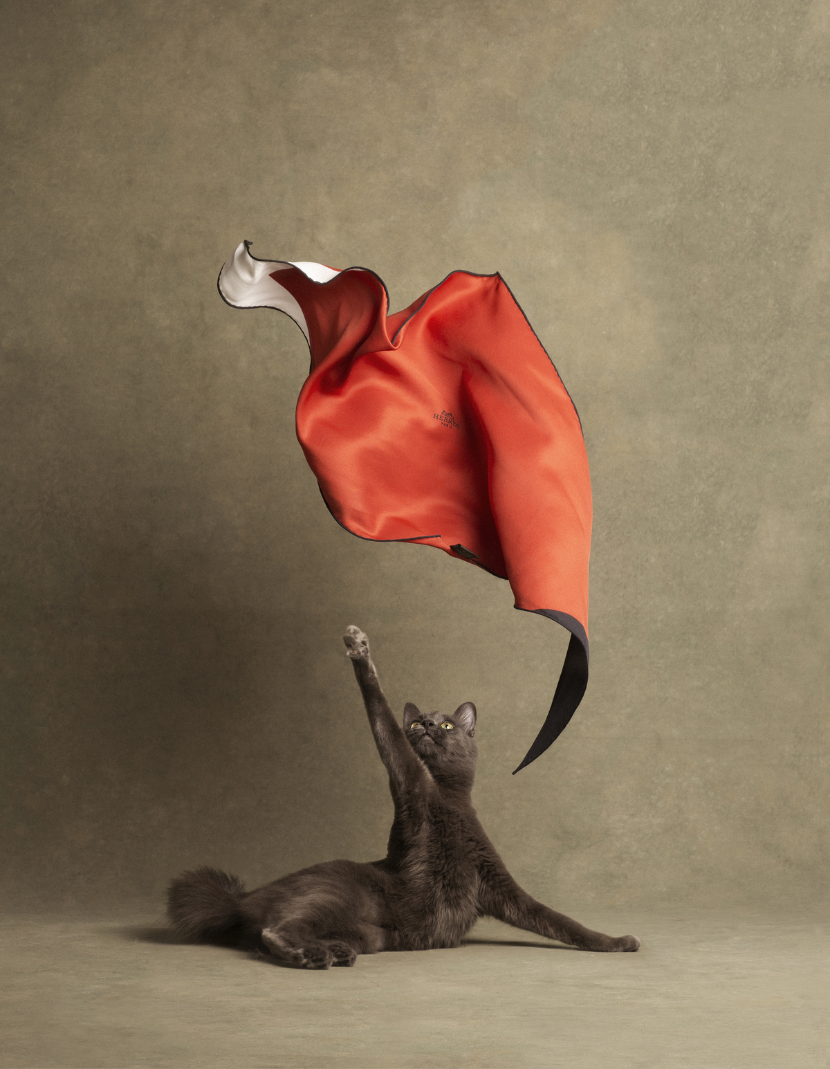 Le chat chic Kinfolk magazine — Tania Rat-Patron