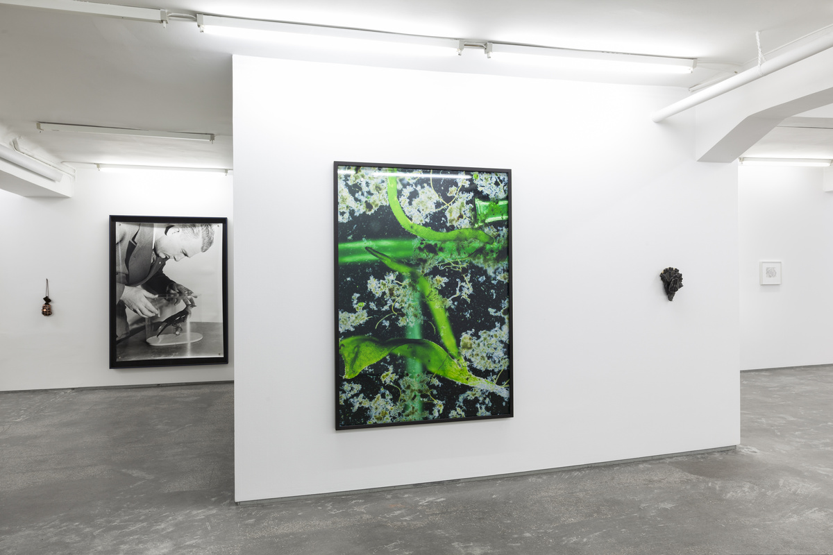 Randi Grov Berger Bio — entreebergen.no