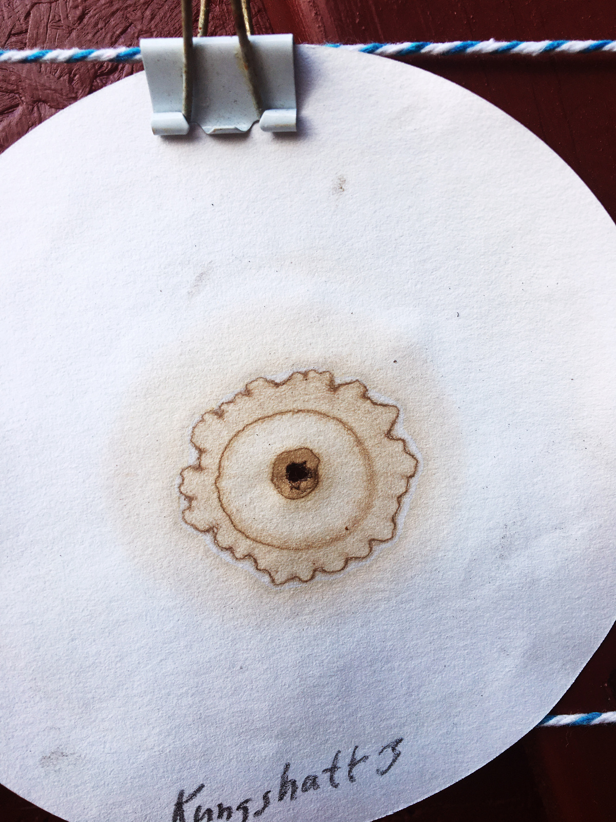 Soil chromatography — Anton Poikolainen Rosén - Design Research
