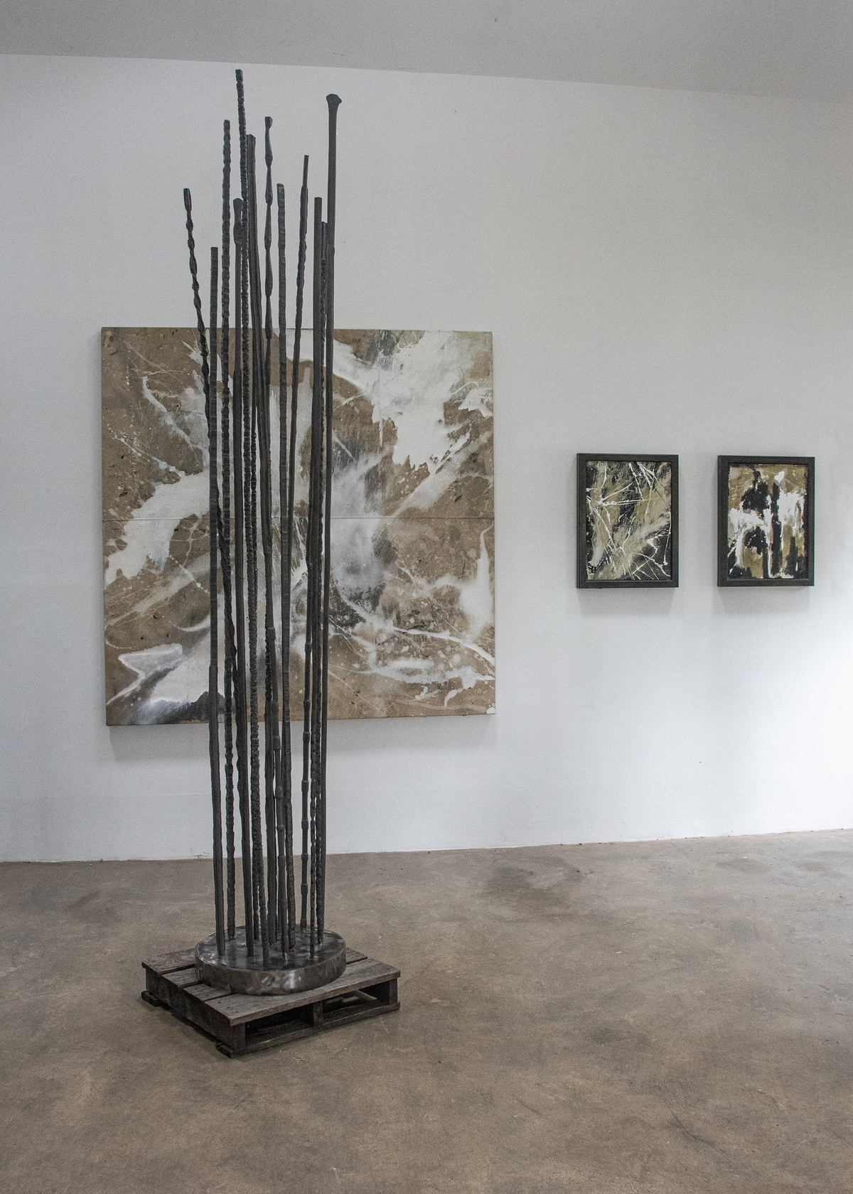 Grasses II — David Cann