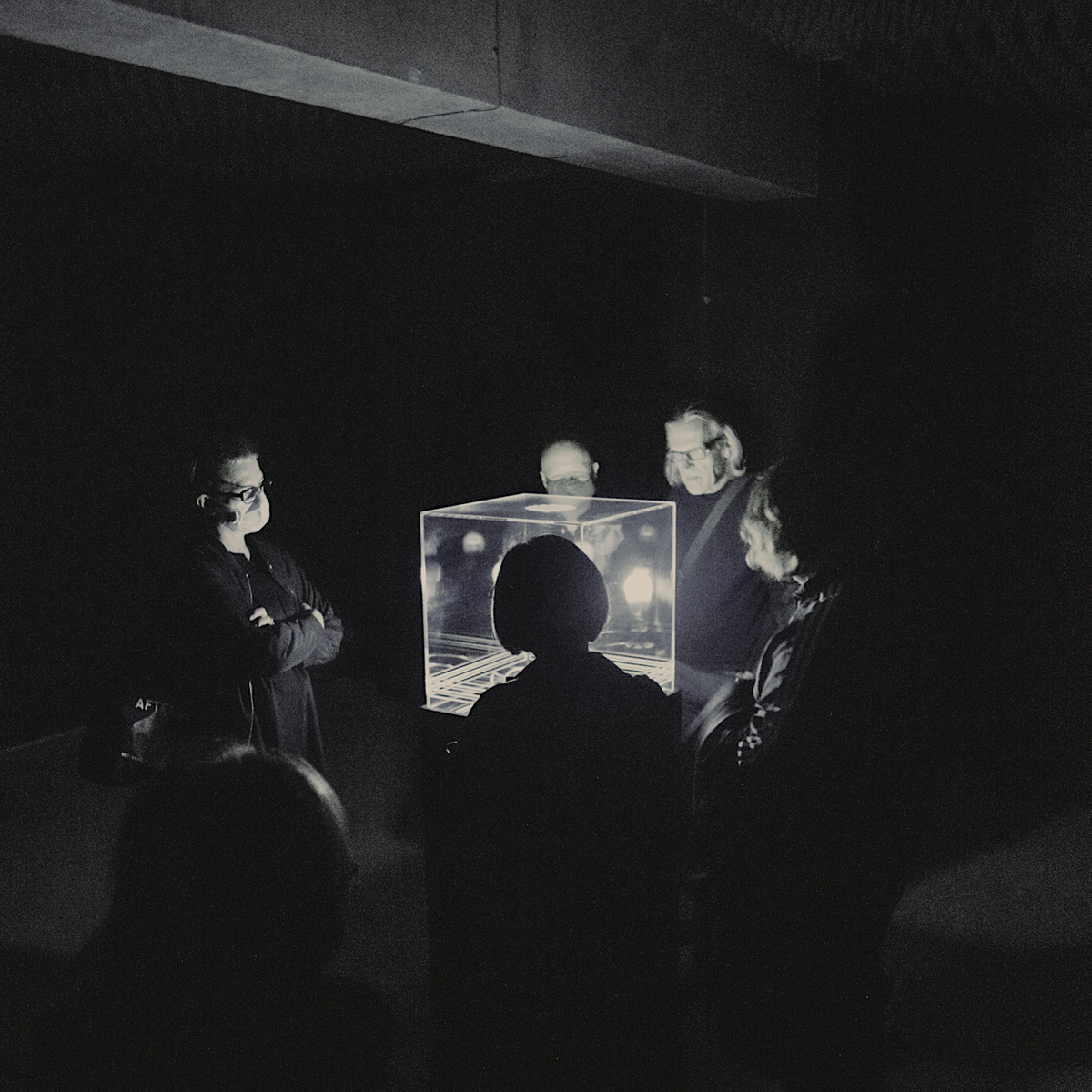 Program of IP Studio — IP Group