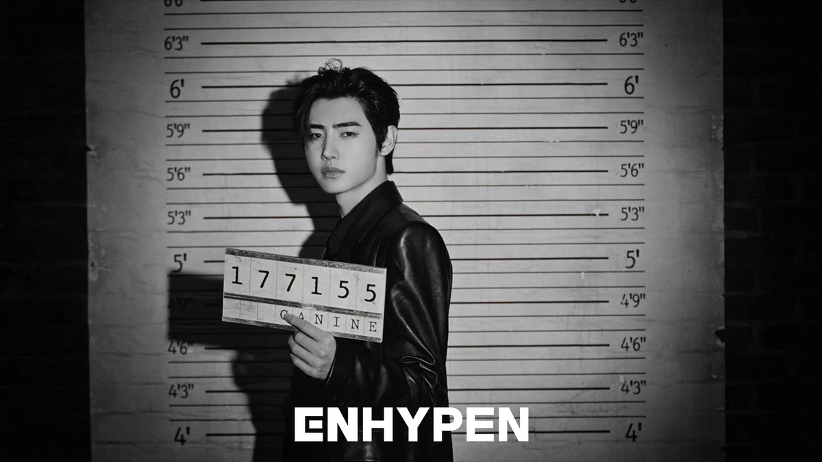 2024 ENHYPEN CONCERT VCR — nvrmnd
