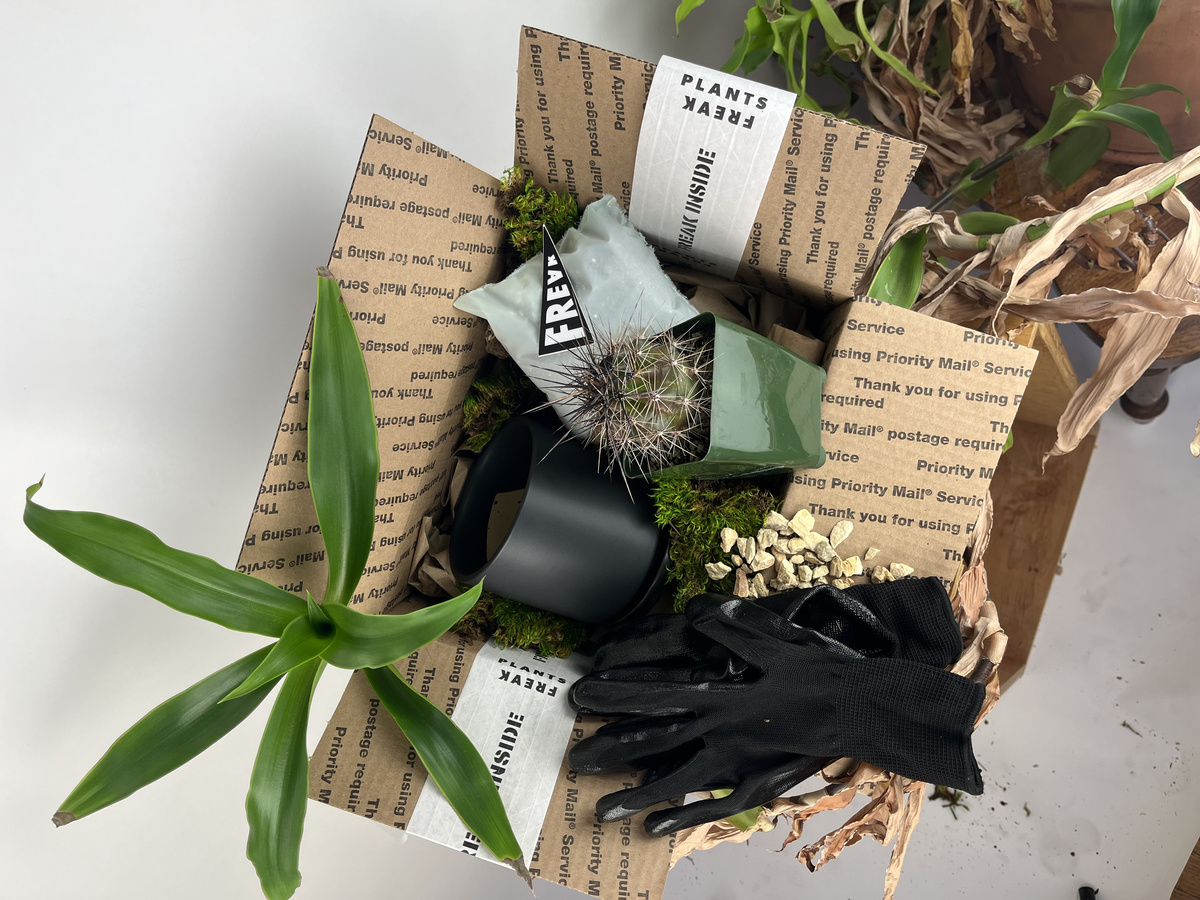 plantscaping — Freak Plants