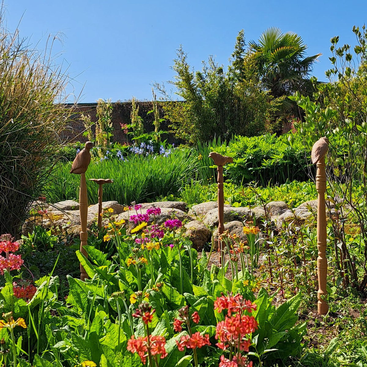 Nature's Bird-den — Kate O'Neill