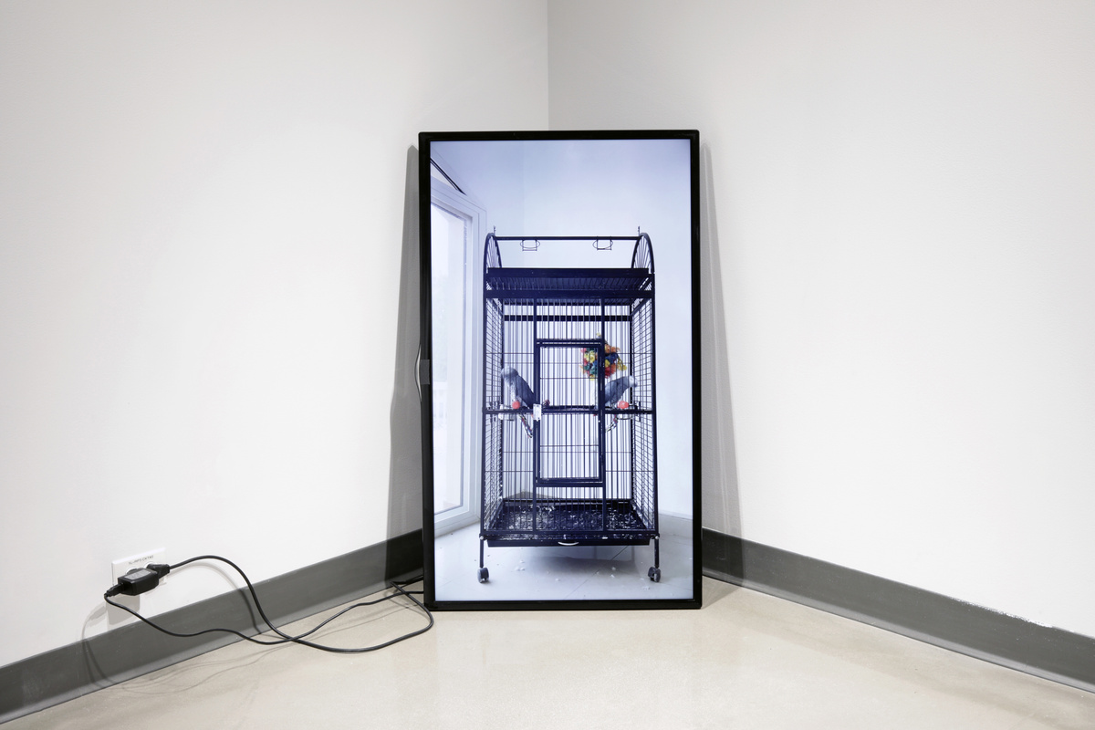 Fidaa'i — Layan Attari